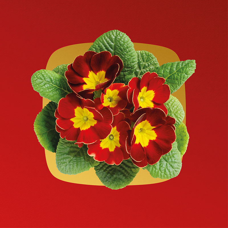 News & Events - Rückblick - Startseite